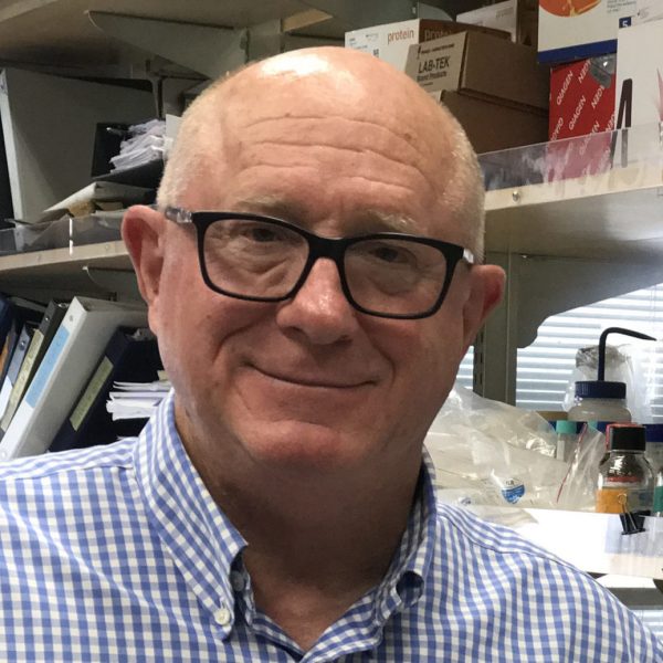 Events - Q Bay Center